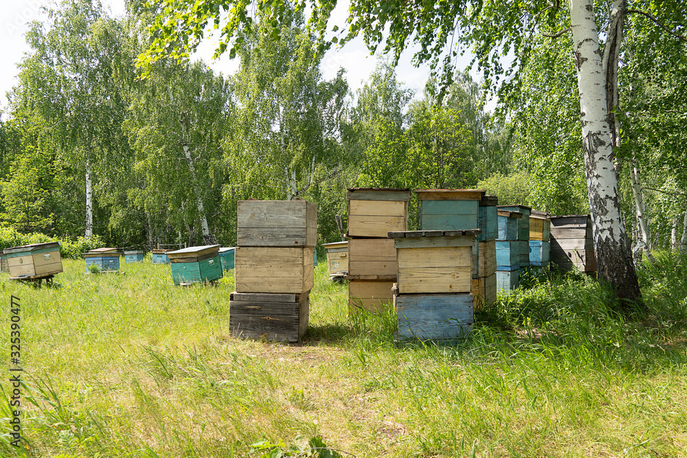 Beekeeping, colorful beehives stand on top of each other in the forest ...