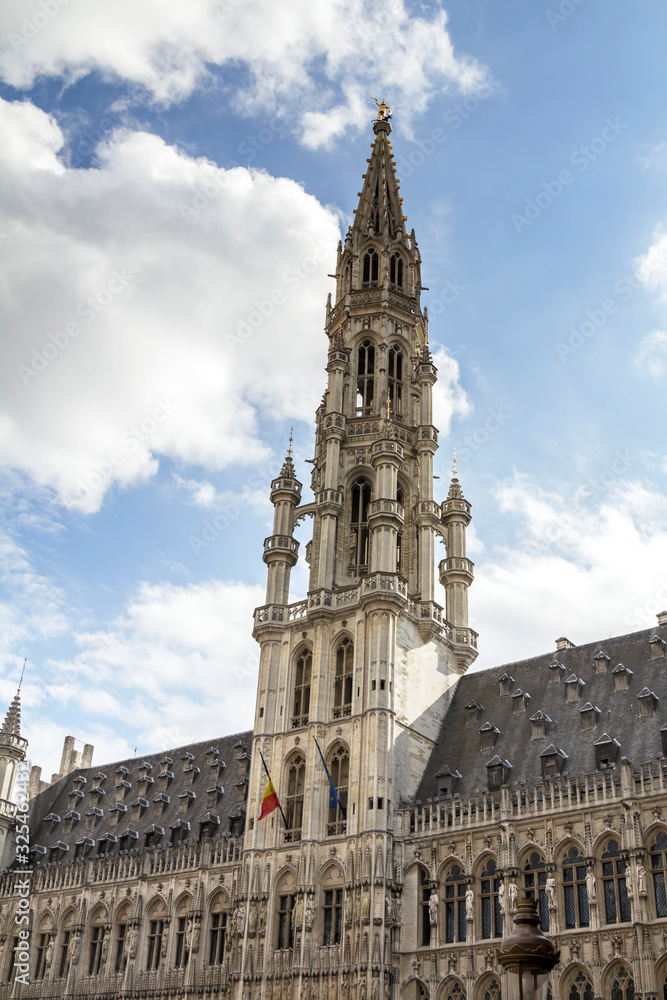 the Grand Place and the Maison du Roi, a neo-gothic style building from ...