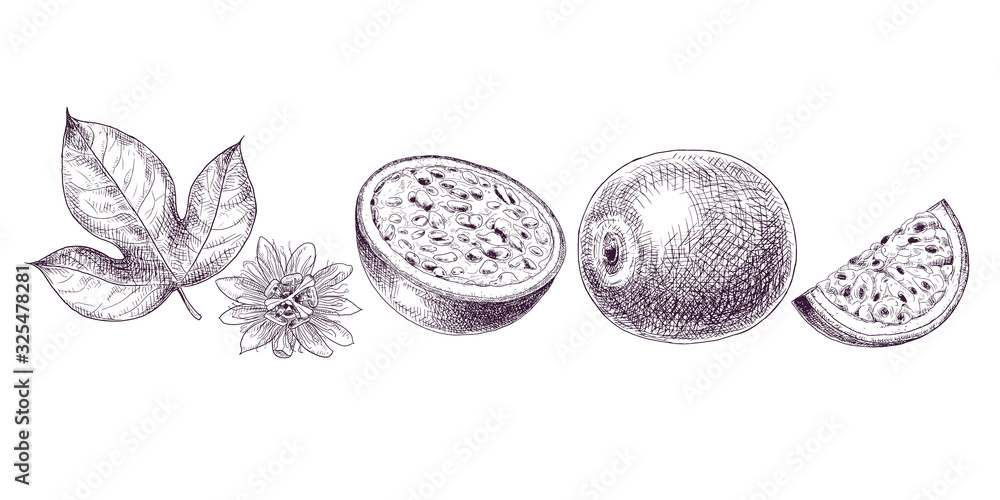Hand drawn passion fruit. Set sketches with cut passion fruit leaf and ...
