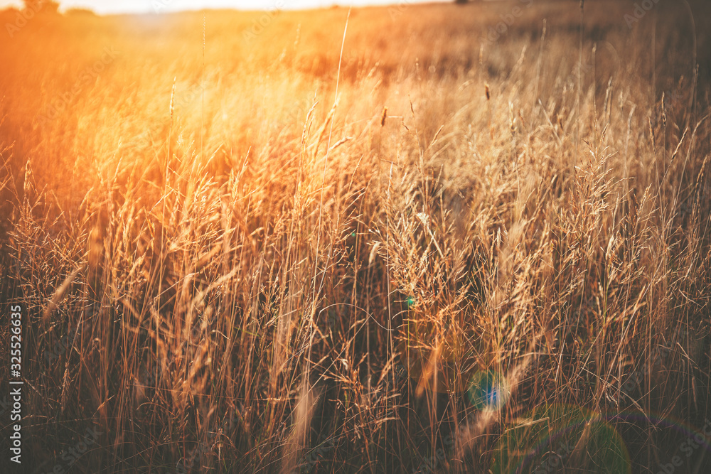Makara beach natural scenes in Wellington, New Zealand Stock Photo ...