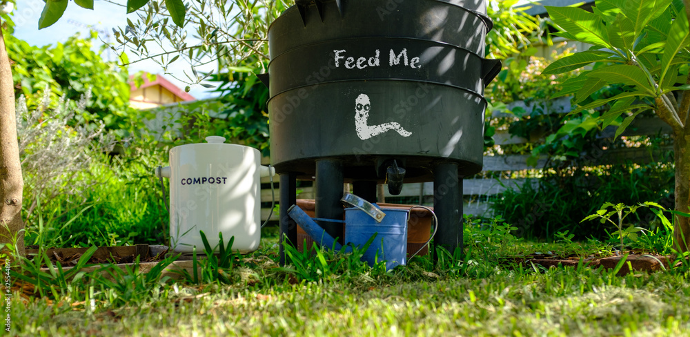 Worm farm, compost bin in organic Australian garden with kitchen waste ...