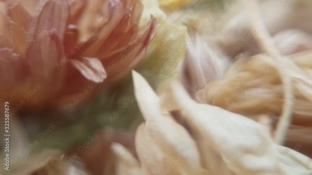 Soft rustic pastel colored dried flowers background with flowing and ...