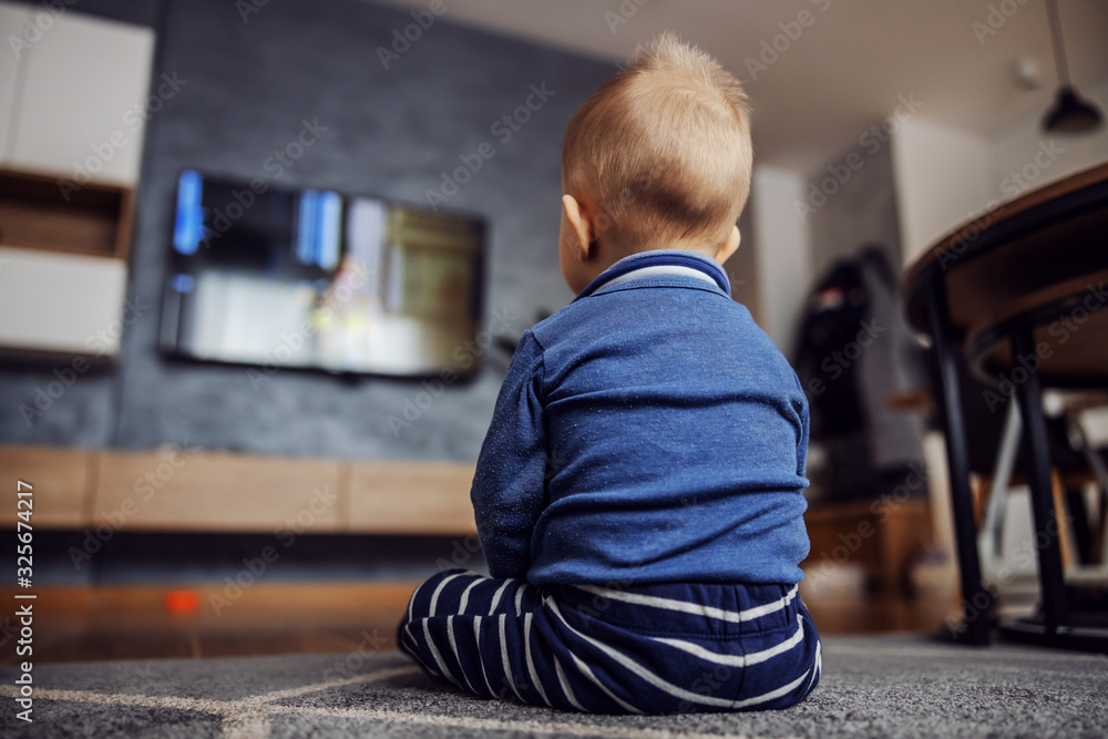 Rear view of focused blond little boy sitting on the floor in living ...