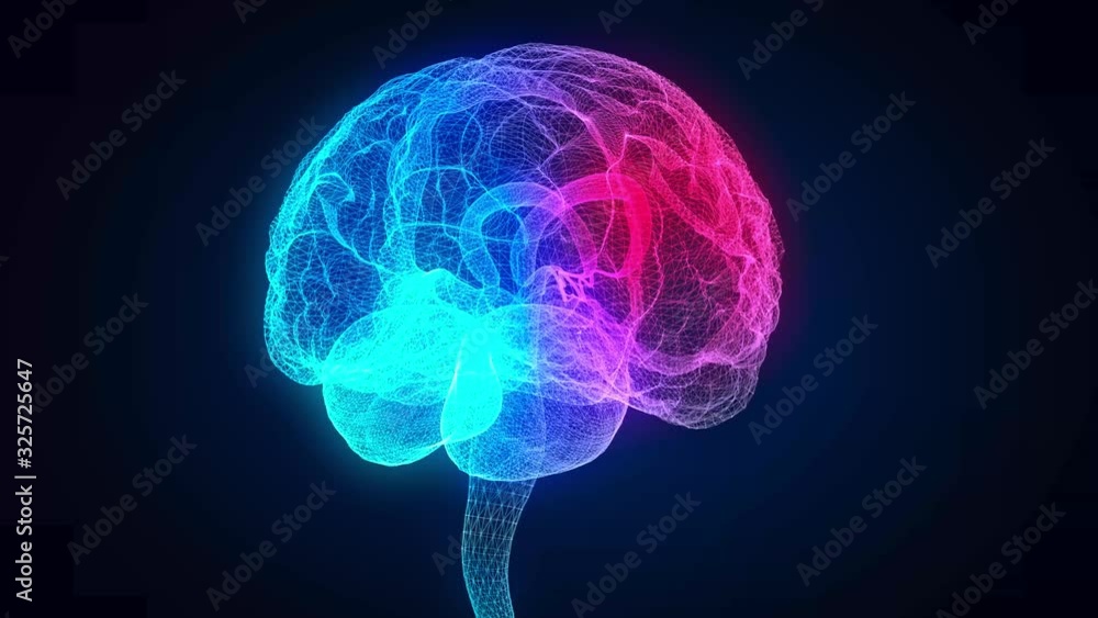 Rotating human brain. Glowing blue light line of human brain model ...