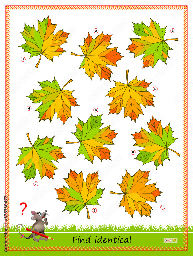 Logic puzzle game for children and adults. Find two identical leaves ...