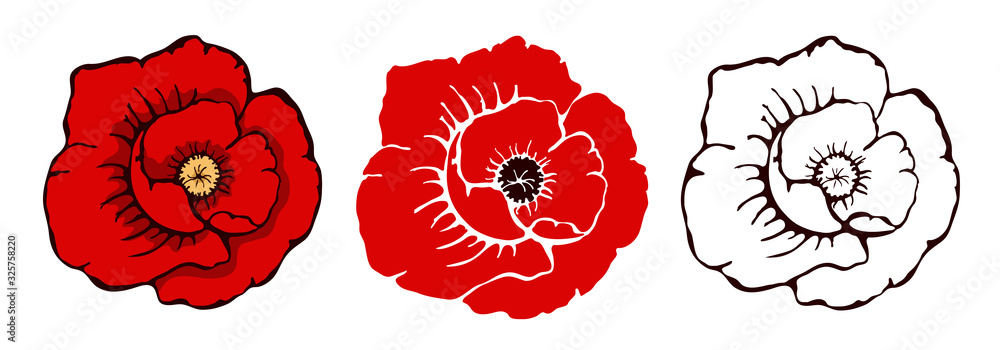 Set of three poppies flowers. Vector illustration isolated on a white ...