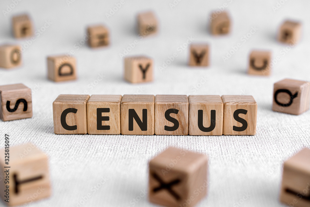 Census - words from wooden blocks with letters, official count or ...