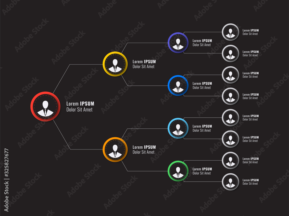 organizational structure of the company. business hierarchy infographic ...