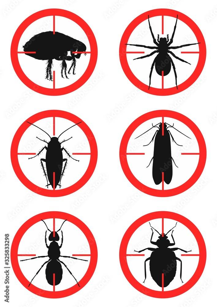 Set of warning signs with insects. Pests. Vector illustration Stock ...