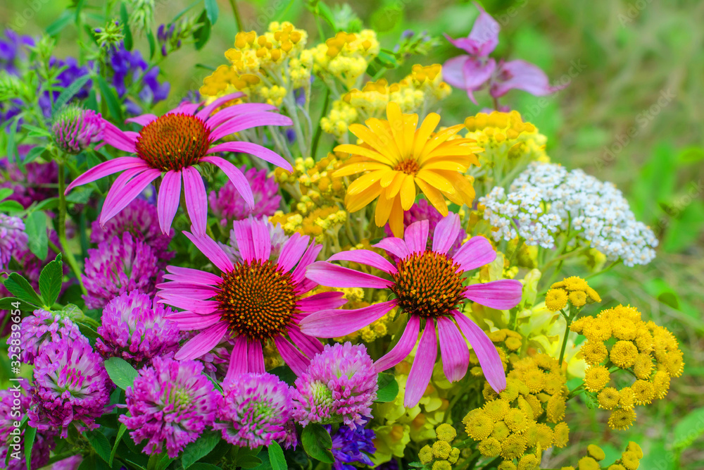 Healing herbs. Medicinal plants and flowers bouquet of echinacea ...