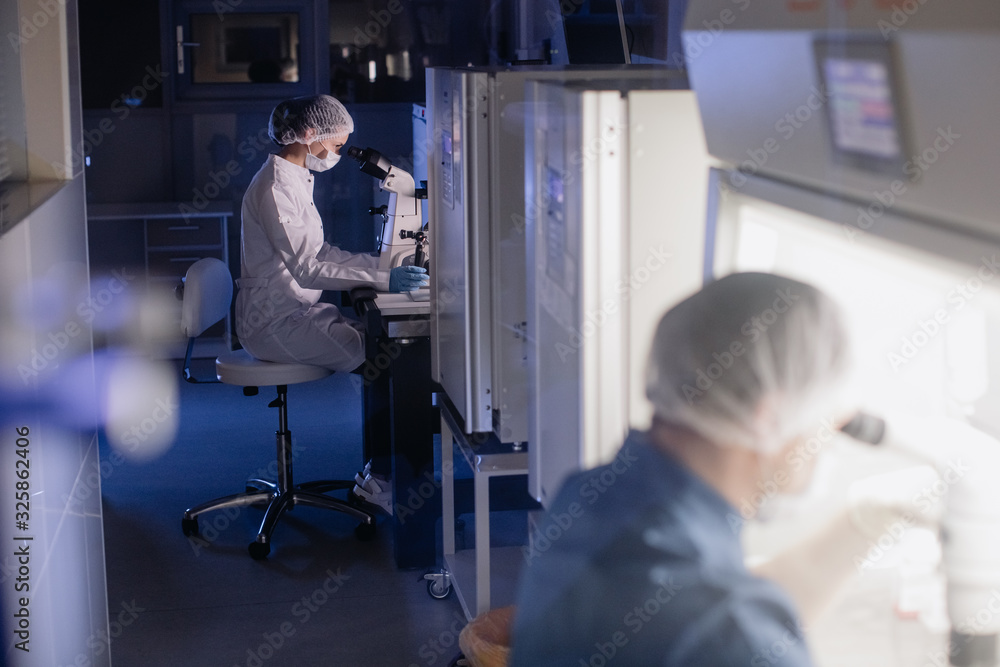 In a Modern Laboratory Scientist Conduct Experiments. Chief Research ...