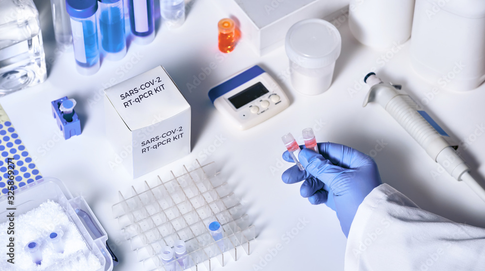 Novel coronavirus 2019 nCoV RT-PCR diagnostics kit. Reagents, primers ...