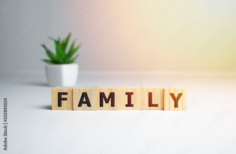 Word FAMILY. Wooden small cubes with letters on white background with ...
