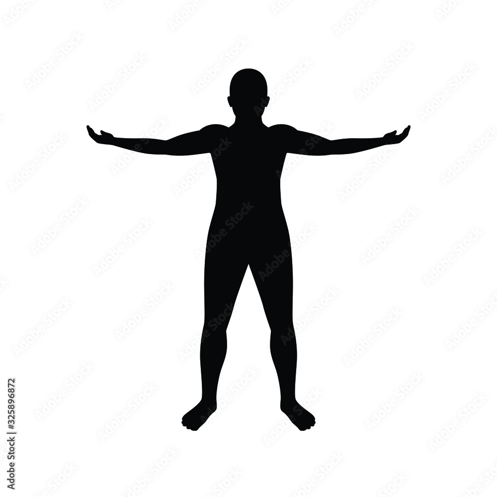 Human body silhouette vector, anatomy Stock Vector | Adobe Stock