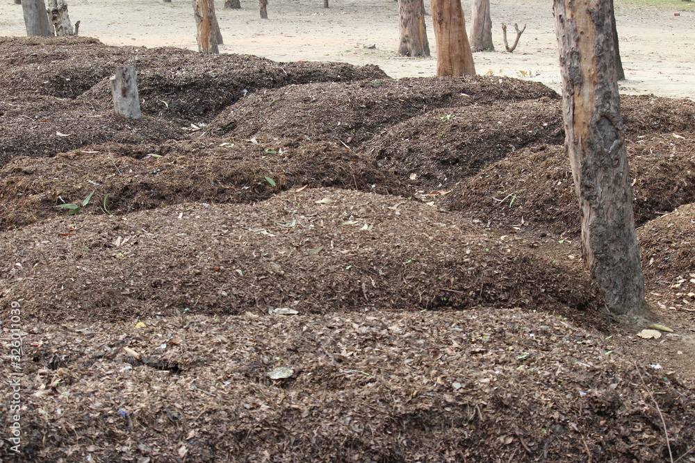 Compost prepared in Compost Processing Unit lying in Sanjay Lake Park ...