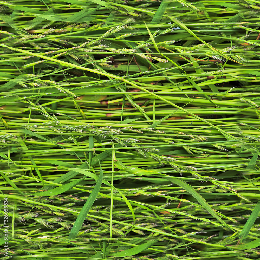 Photo realistic seamless grass texture in high resolution with more ...
