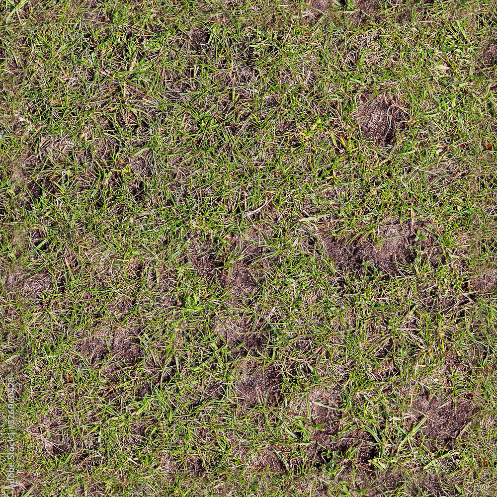 Photo realistic seamless grass texture in high resolution with more ...