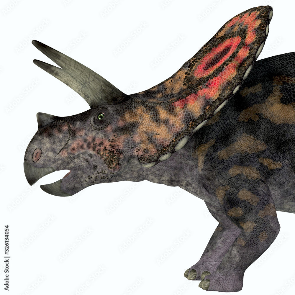 Torosaurus Dinosaur Head - Torosaurus was a horned herbivorous ...