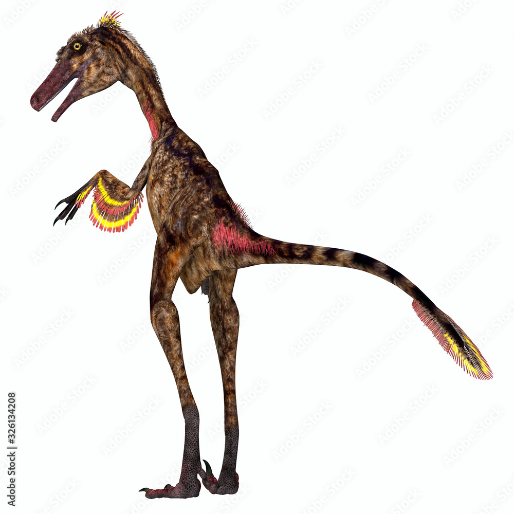 Troodon Dinosaur Tail - Troodon was a carnivorous theropod dinosaur ...
