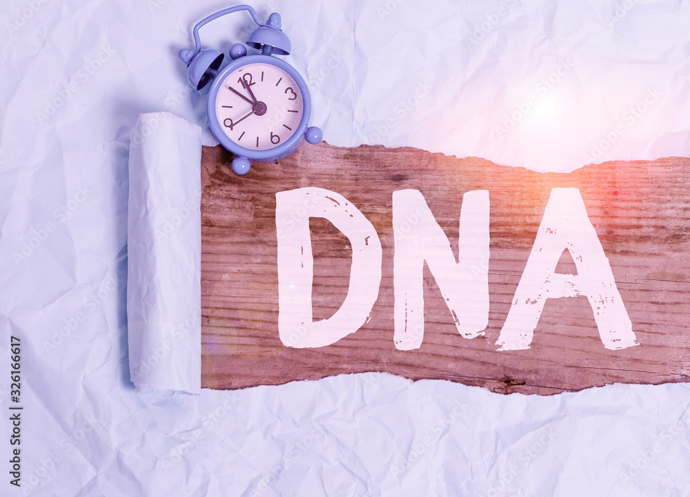 Word writing text Dna. Business photo showcasing a selfreplicating ...