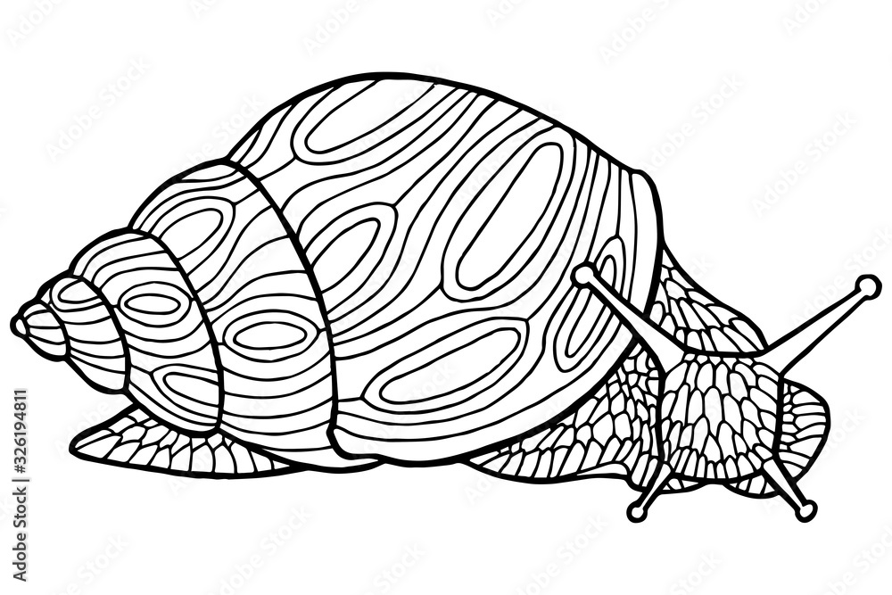 Jpeg illustration. Hand drawing snail. Coloring page. The original ...