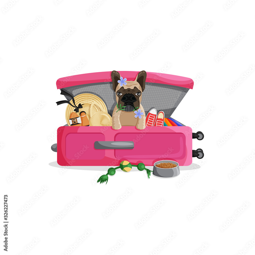 Vector flat illustration of dog in travel suitcase. Cartoon french ...
