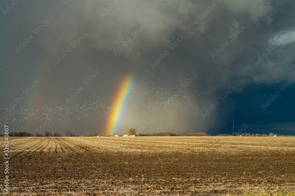 rainbow and storm Stock Photo | Adobe Stock