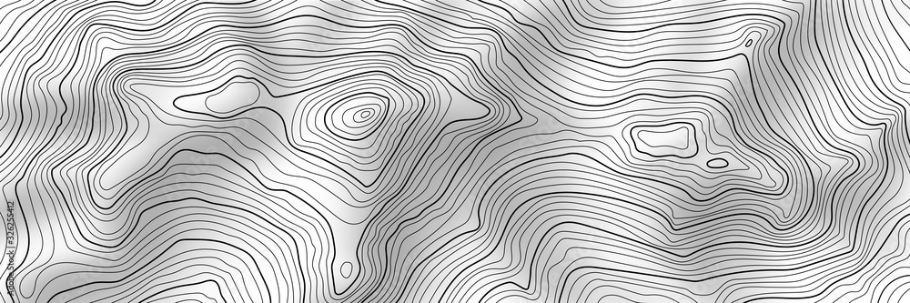 Imitation of a geographical map, black lines on white background ...