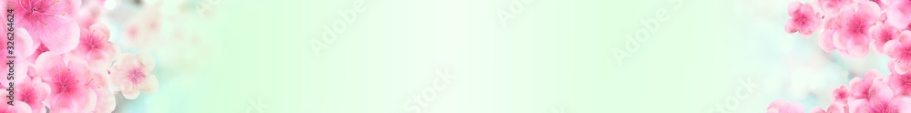 panoramic Japanese Spring Sakura cherry blossoms 728x90 size website ...