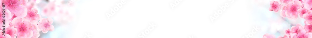 panoramic Japanese Spring Sakura cherry blossoms 728x90 size website ...