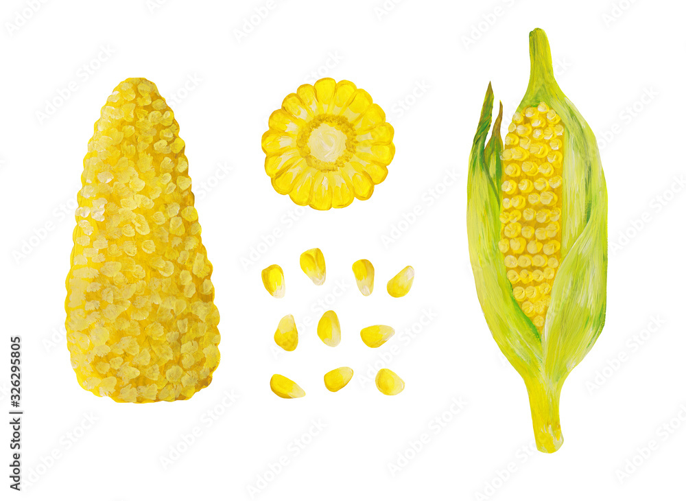 Peeled ears of yellow maize, ears of corn in a green peel, grains of ...