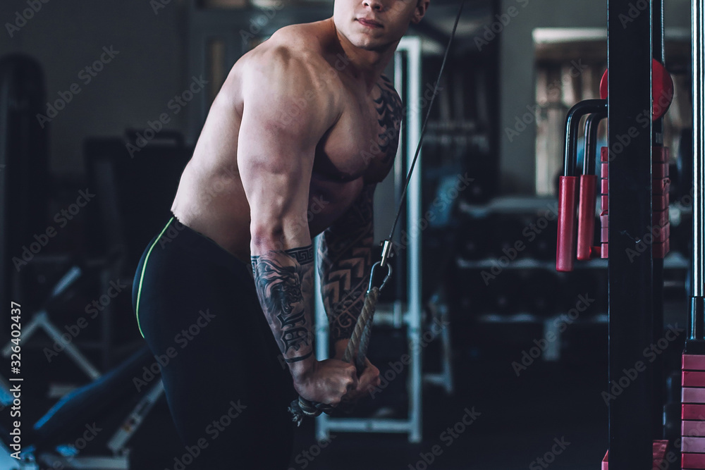 muscular bodybuilder uses a trainer to pump triceps Stock Photo | Adobe ...