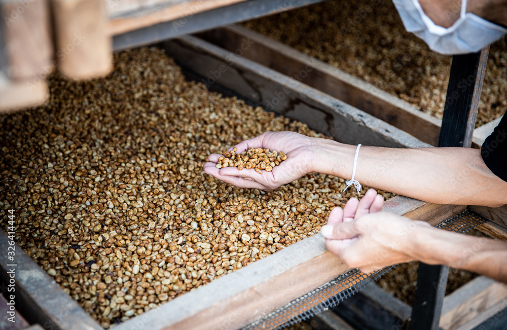 Natural or Dried in the coffee Process, honey Process skin and pulp are ...