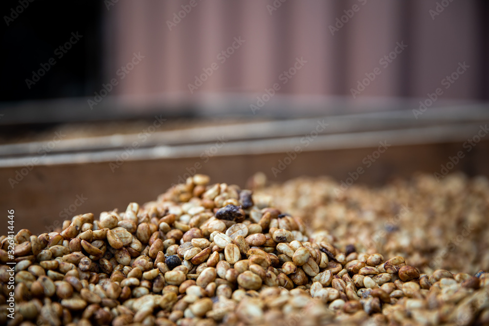 Natural or Dried in the coffee Process, honey Process skin and pulp are ...