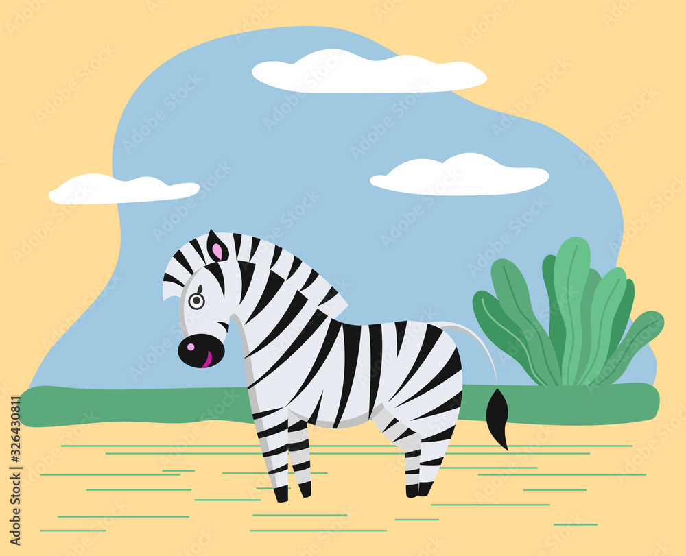 Zebra stand in safari or savanna. Wild character in wilderness or zoo ...