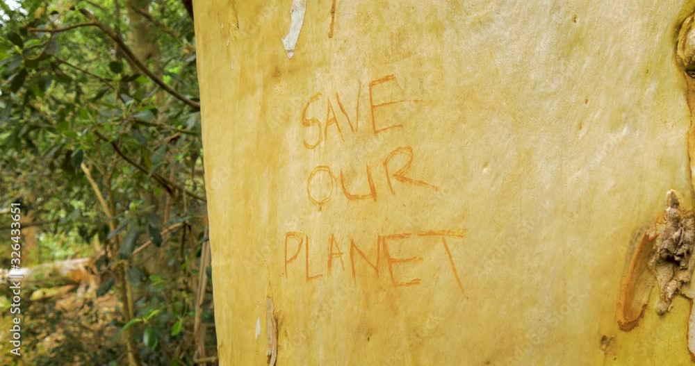 4K wide shot of an anti-deforestation protest sign carved into a rain ...