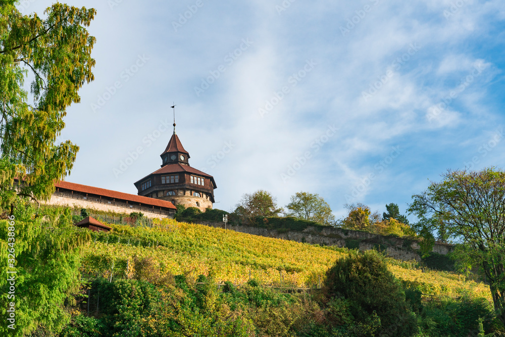 Esslinger Burg. Castle and vineyard in Esslingen am Neckar, Germany ...