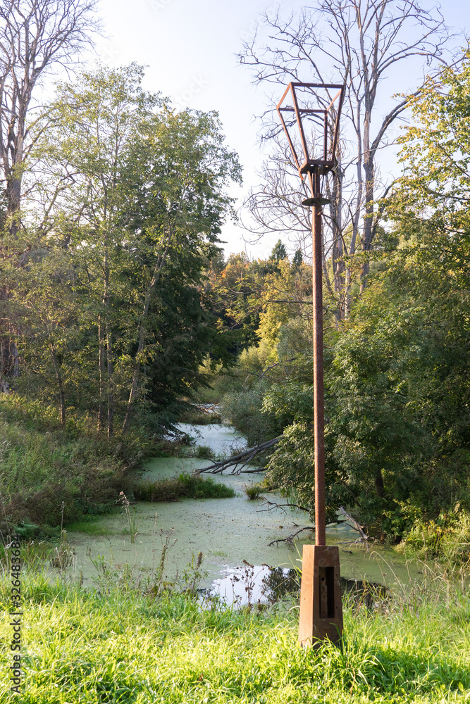 Secluded, quiet corner of park overgrown with tall dry trees and dense ...