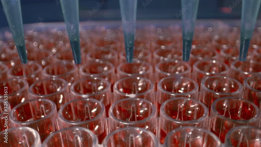 Automated DNA Processor real-time PCR cycler. PCR robotic machine for ...