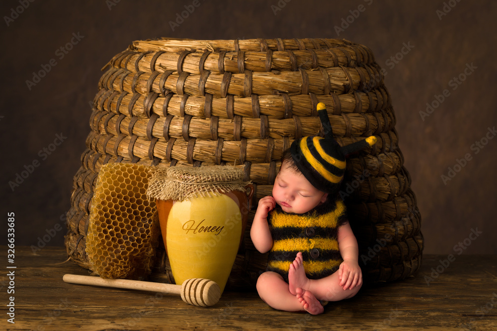 Baby in bee outfit and real beehive Stock Photo | Adobe Stock