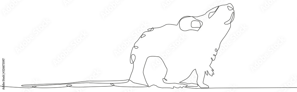 Rat mouse continuous line drawing. One hand drawn single lineart style ...