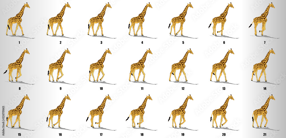 Giraffe walk cycle animation frames, loop animation sequence sprite ...