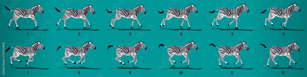 Zebra run cycle animation frames, loop animation sequence sprite sheet Stock Vector | Adobe Stock
