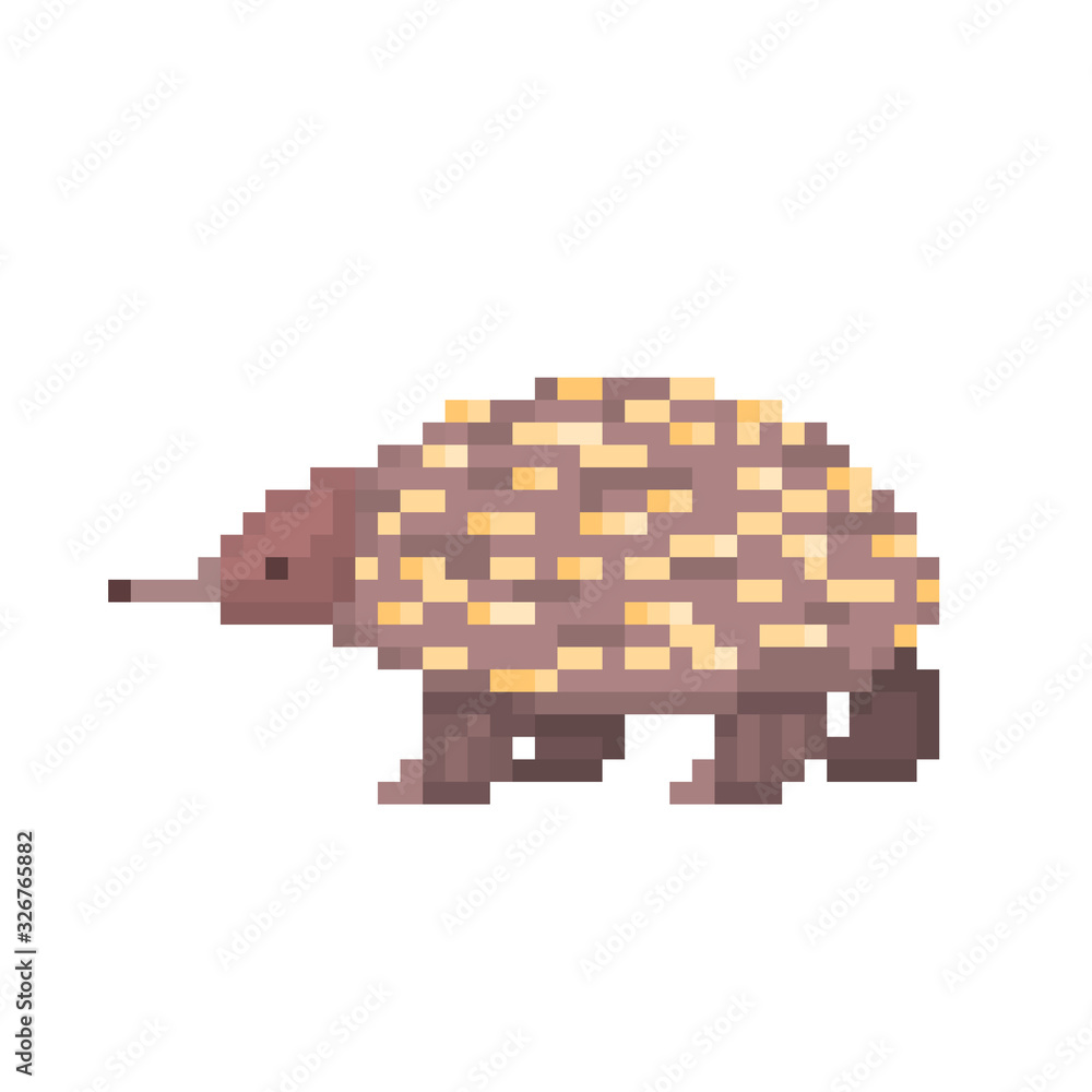 Echidna pixel art character isolated on white background. 8 bit ...