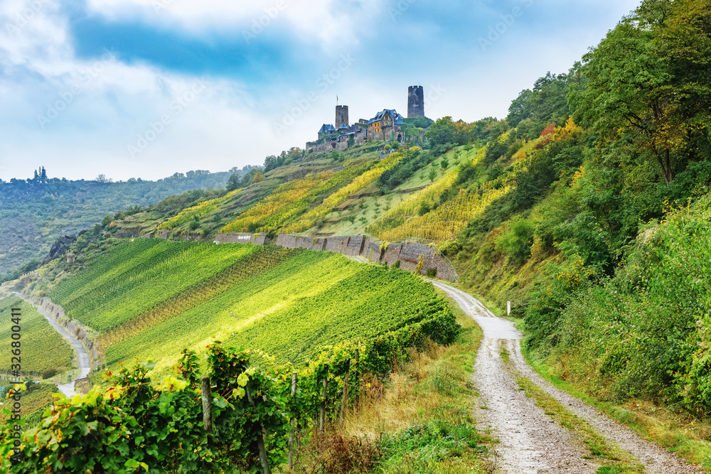 Germany, Castle Burg Thurant in valley of Moselle river. Beautiful ...