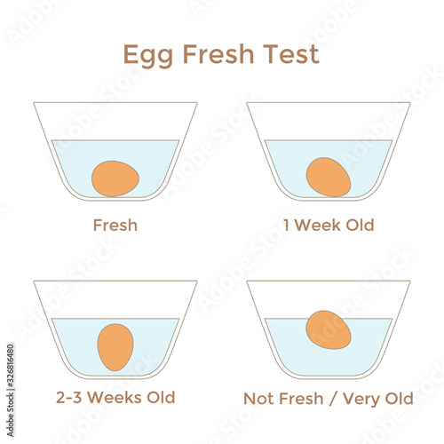 Float test Eggs At Alden Johnson Blog Float test Eggs At Alden Johnson Blog