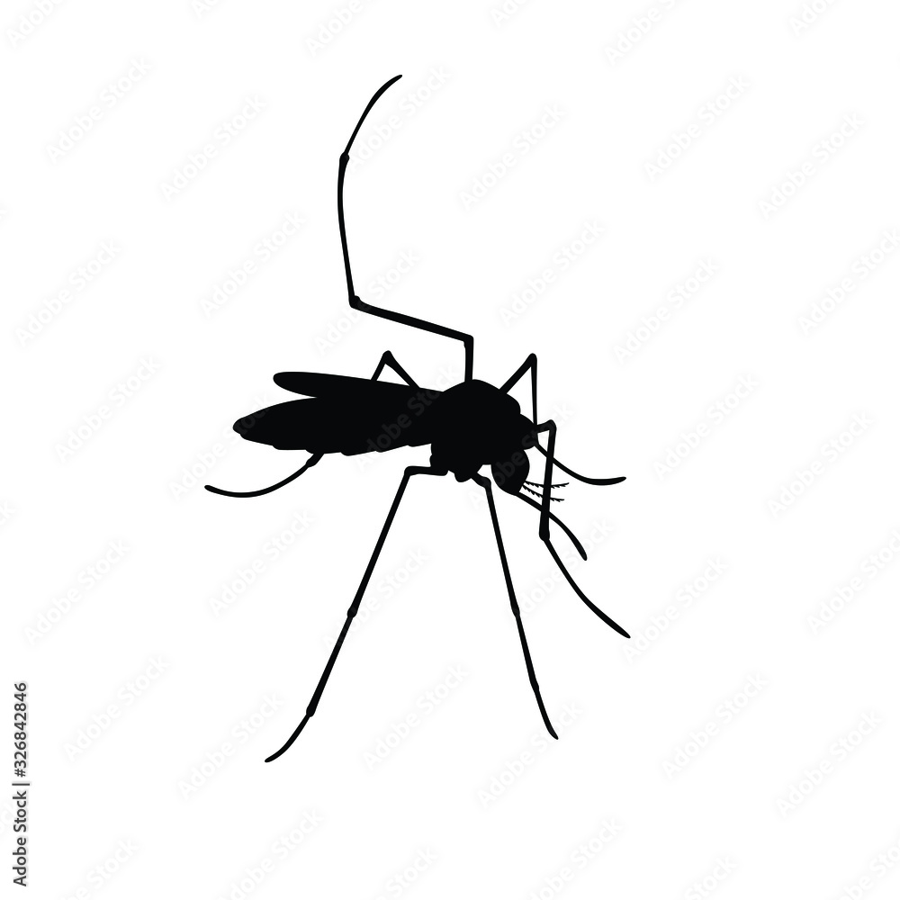 Mosquito silhouette vector Stock Vector | Adobe Stock