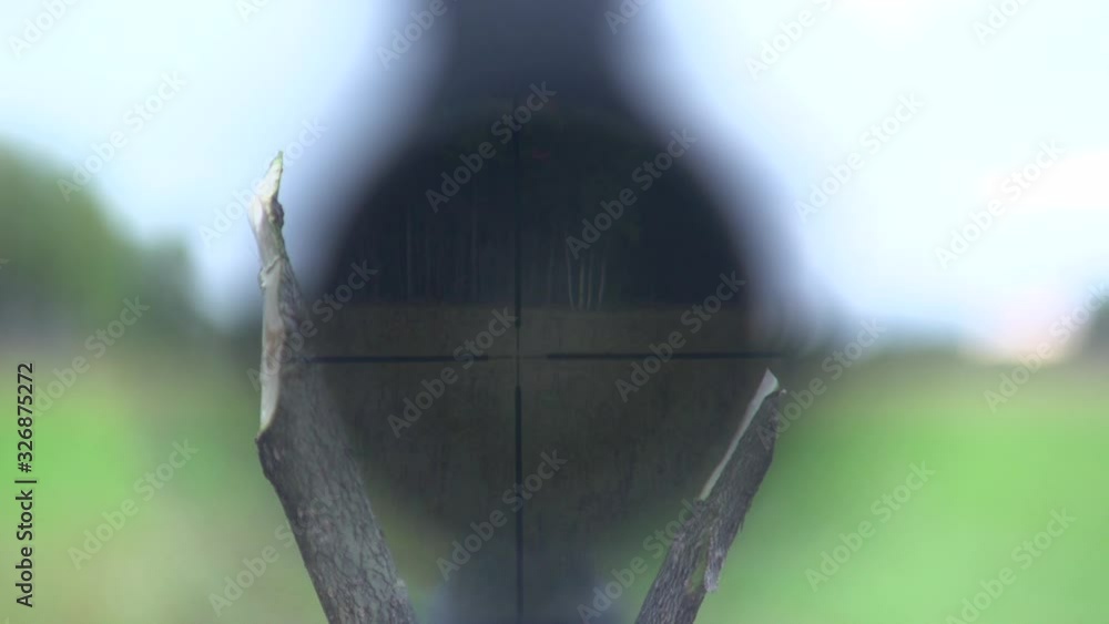 Vidéo Stock Hunter lies in ambush, tracks down prey through an optical ...