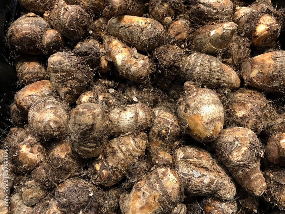 Pile of small taro root crops, also known as gabi in the Philippines ...