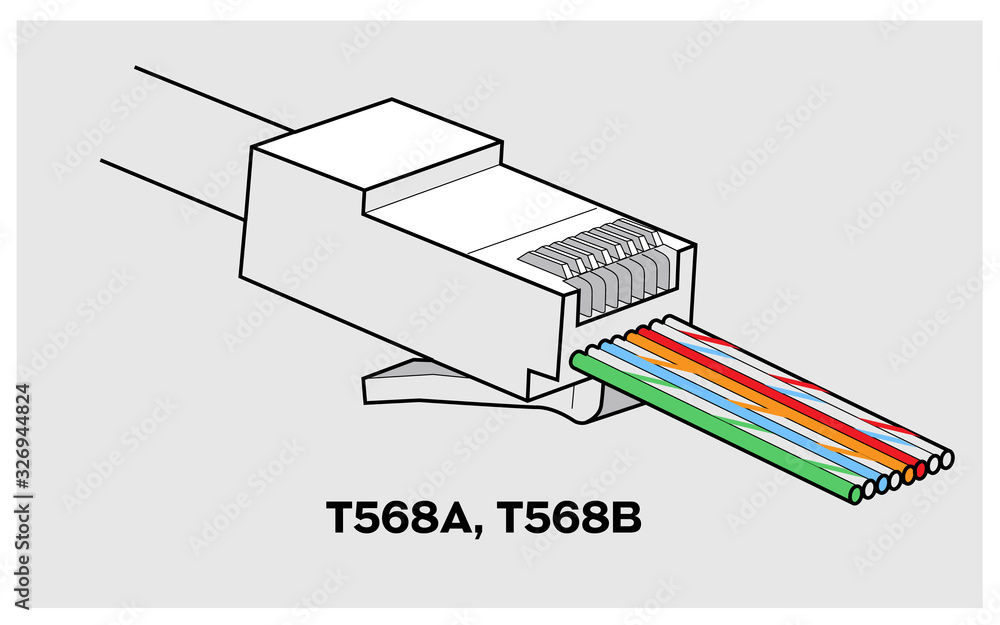 RJ45 Network Connector T568A/T568B Closeup view Stock Vector | Adobe Stock
